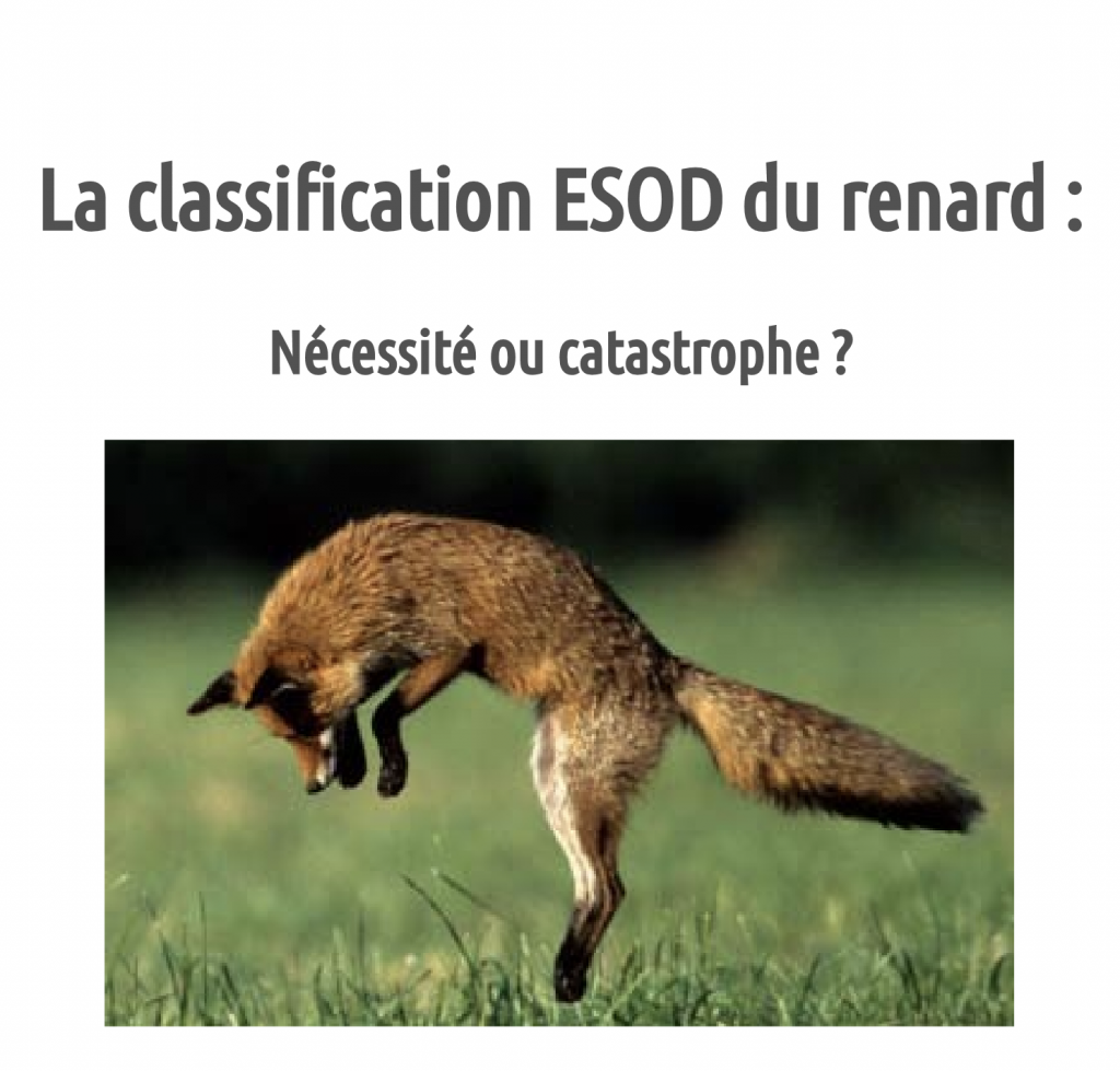 Renard : Espèce Susceptible d’Occasionner des Dégâts (ESOD) ou ...